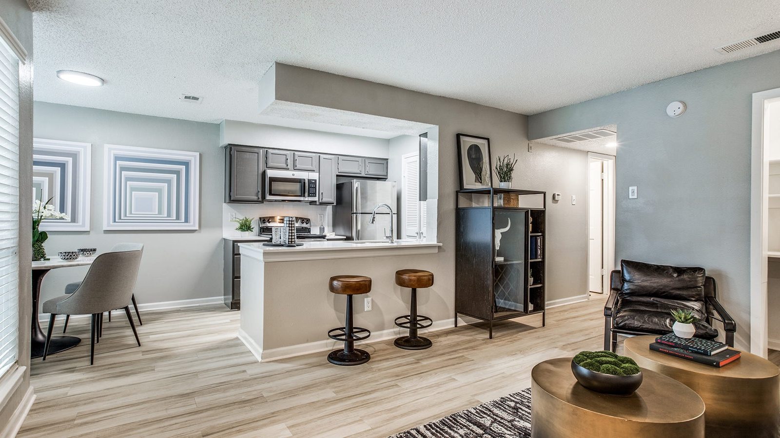 The Laney | Photo Gallery of an Apartment in Dallas